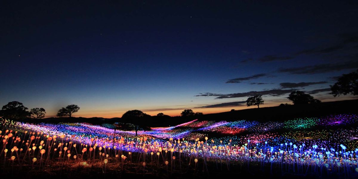 Visit Sensorio in Paso RoblesCambria Inns Collection